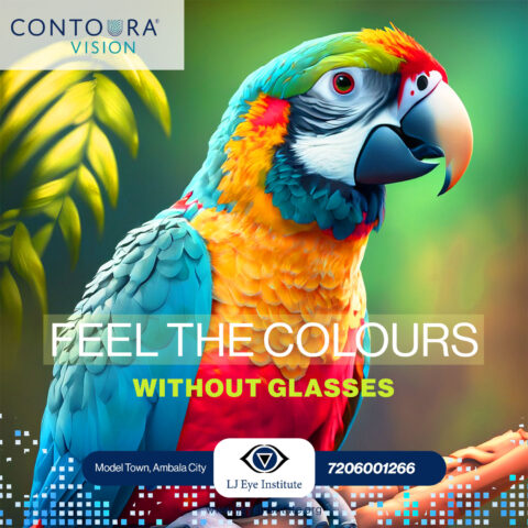 Contoura Vision - LJ Eye Institute