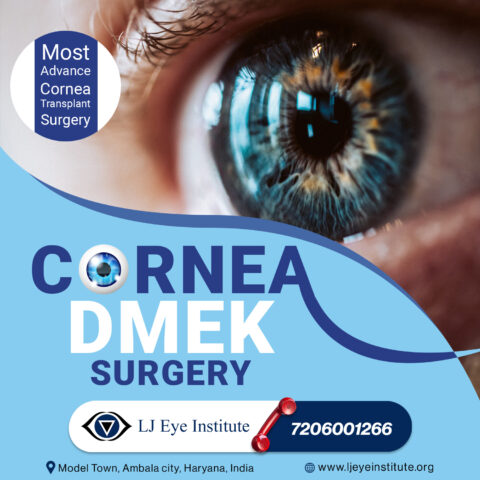 DMEK - LJ Eye Institute